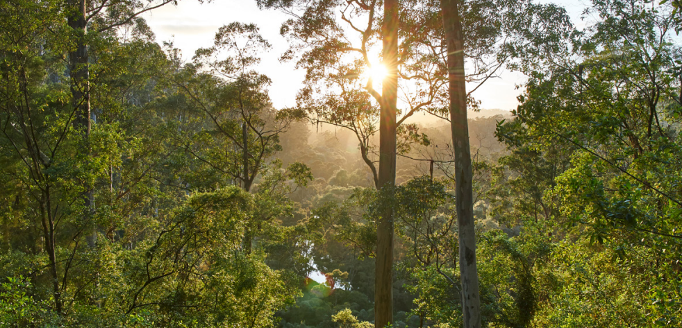 Welcome to the Shire of Nannup » Shire of Nannup
