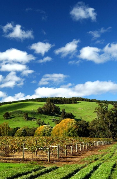 Welcome to the Shire of Nannup » Shire of Nannup
